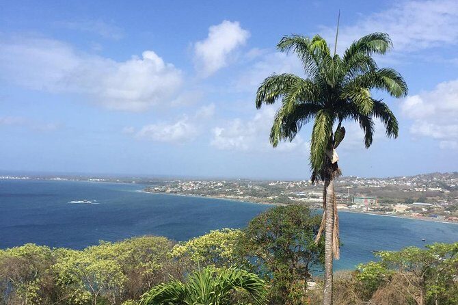 VIP Inclusive Private Tour of Island (Lunch, Drinks + Snorkeling) - Key Points