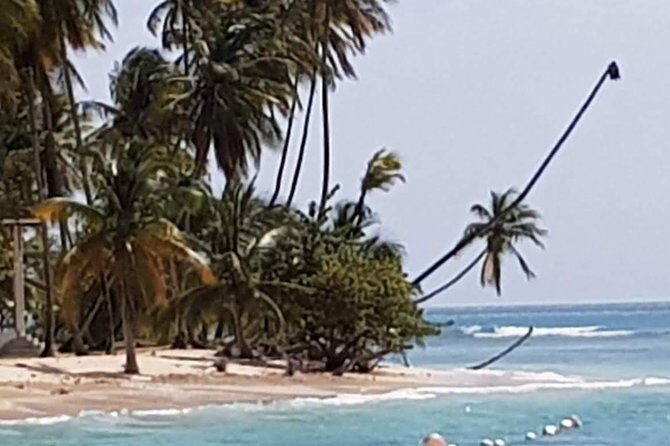 VIP Inclusive Private Tour of Island (Lunch, Drinks + Snorkeling) - An Honest Look at the Price and Value