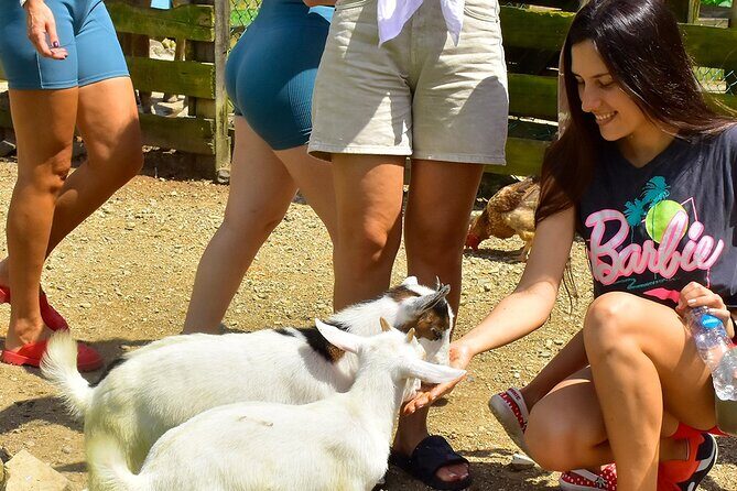 Vip La Hacienda Park Tour - An Overview of the La Hacienda Park Tour
