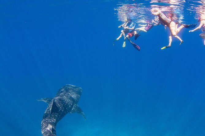 VIP luxury chartered escapes, exploring the reef at your own pace - Final Thoughts