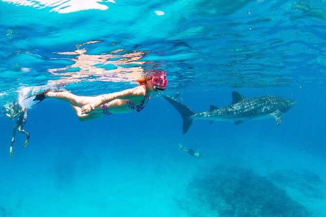 VIP luxury chartered escapes, exploring the reef at your own pace - FAQ