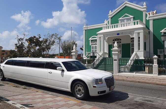 VIP luxury limousine airport transfer one way! - What to Expect on Arrival