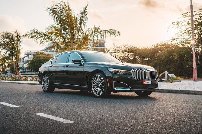 VIP Luxury Sedan Airport Transfer - Introduction