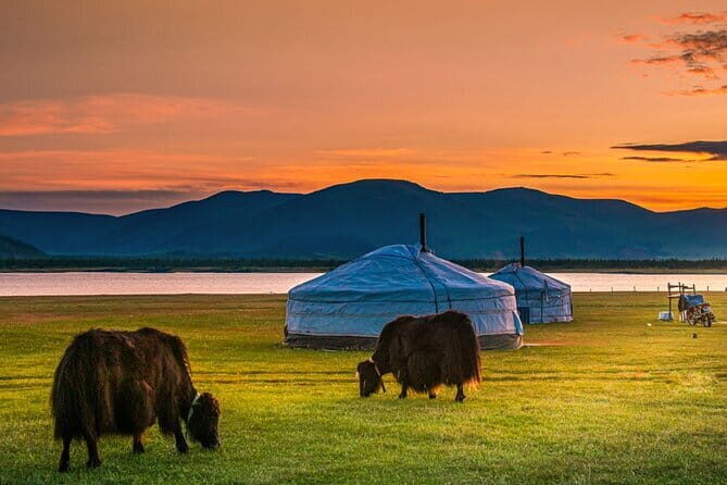 VIP Pick Up Or Drop Off Airport Transfer In Ulaanbaatar City (UB) - Who Will Benefit Most?