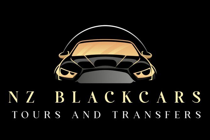 VIP / Premium Airport Transfers - Who Will Love This Service?