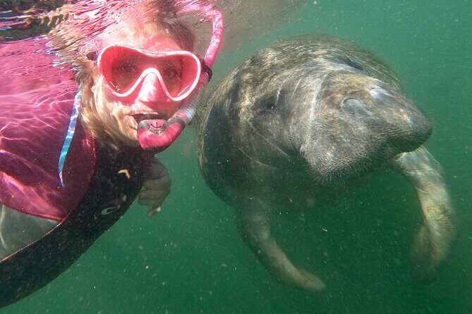 VIP Private Boat Manatee Snorkel Tour with In-Water Guide and Photograper - What Makes This Tour Stand Out?
