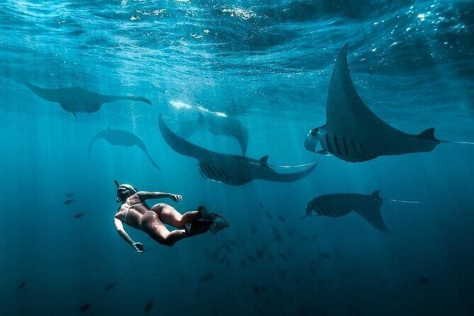 VIP Private Boat to Nusa Penida: Snorkeling with Mantas + Land Tour Adventure - Who Would Enjoy This Tour?