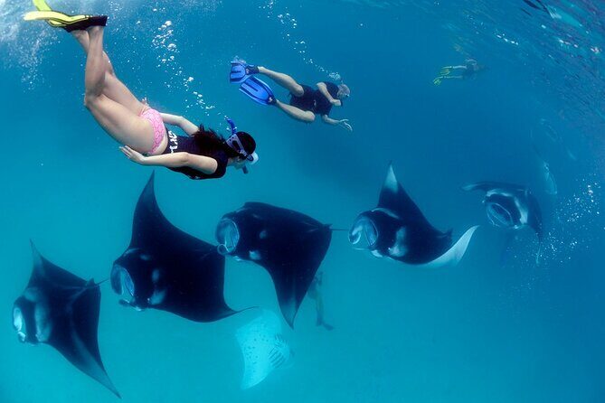 VIP Private Boat to Nusa Penida: Snorkeling with Mantas + Land Tour Adventure - The Sum Up: Why This Tour Is a Great Choice