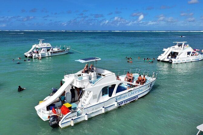 VIP Private Booze Cruise with Live Dj and BBQ in Punta Cana - Who Is This Tour Best For?
