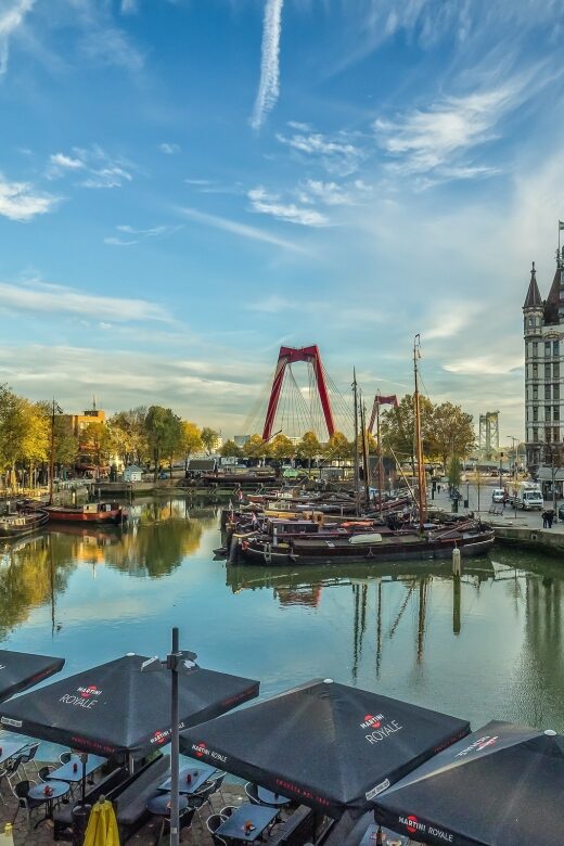 VIP Private Full Day Tour of the Netherlands - Who Should Consider This Tour?