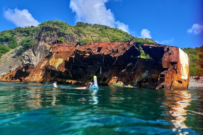 VIP Private Guided Scuba Diving/Snorkeling Excursion - Cost and Value Analysis