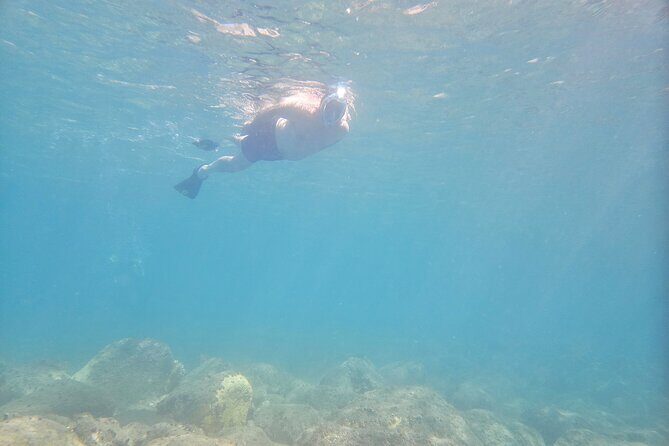 VIP Private Guided Scuba Diving/Snorkeling Excursion - Who Will Enjoy This Tour?