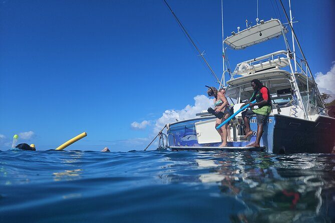 VIP Private Guided Scuba Diving/Snorkeling Excursion - The Sum Up