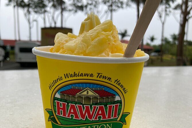 VIP Private Limousine Tour: Scenic Oahu Island Sites - Practical Details and What It Means for You