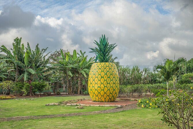 VIP Private Limousine Tour: Scenic Oahu Island Sites - Authentic Experiences and Real Traveler Insights