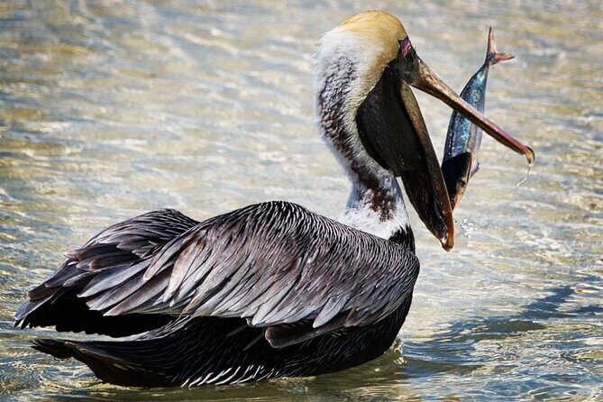 VIP Private North Island Tour - Why This Tour Offers Great Value