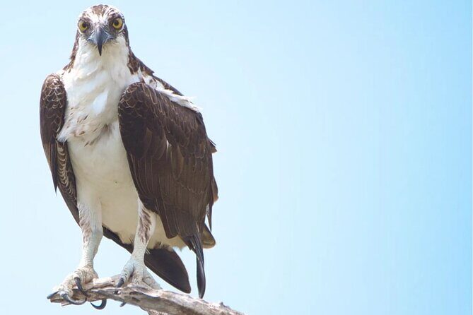 VIP Private North Island Tour - Frequently Asked Questions