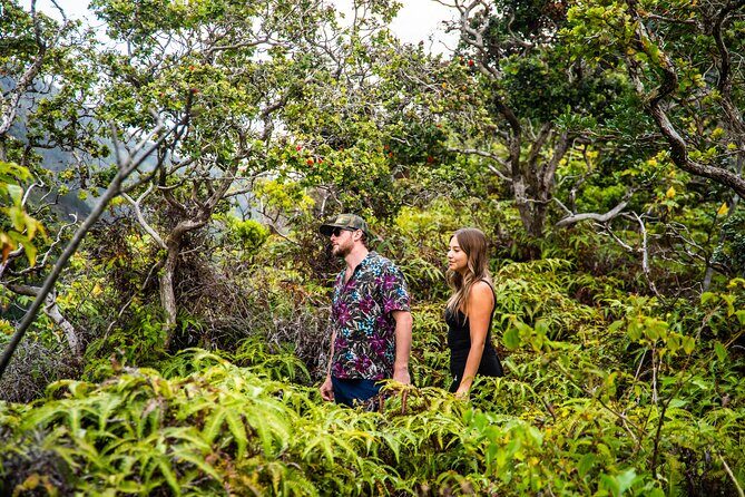 VIP Private Road to Hana Tour with Pick Up - Final Thoughts