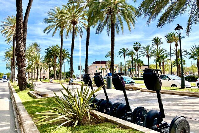 VIP Private Segway Tour of Palma - Final Thoughts