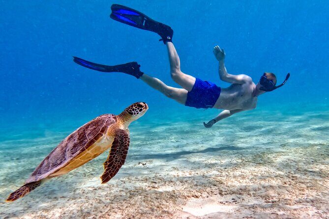 VIP Private Snorkeling Tour with Underwater Photos - Final Thoughts