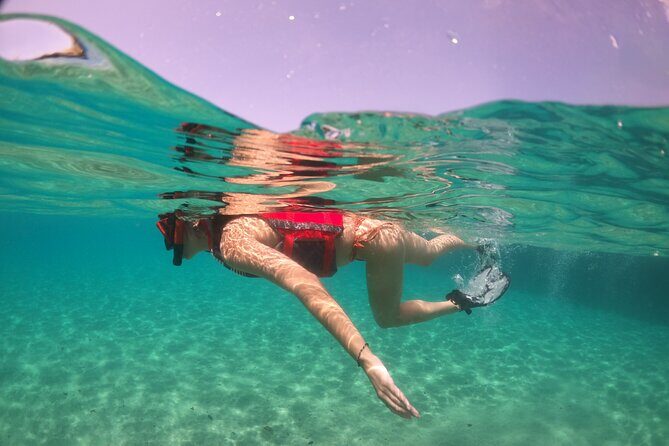 VIP San Juan: Snorkeling Tour with Turtles with Free Videos - What Travelers Are Saying