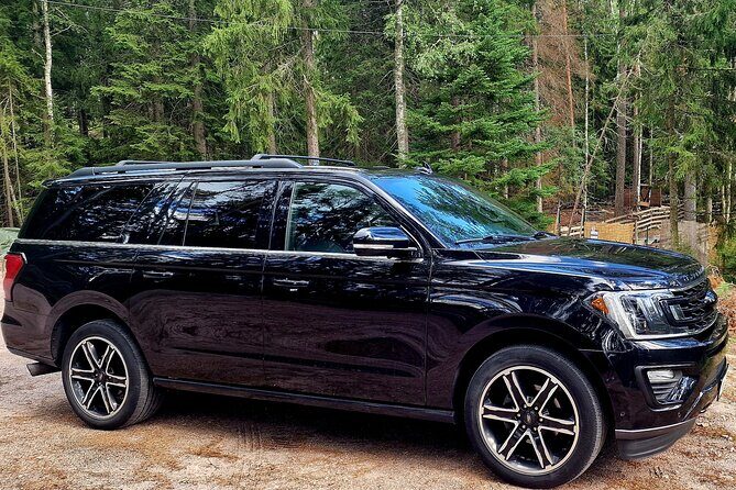 VIP SERVICE Traditional Finnish Log Sauna and Food Experience - Transport, Duration, and Overall Value