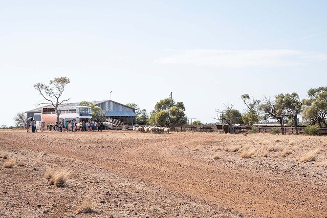 VIP Silver-Tails Rail Sunset With Smithy's Dinner and Show - Returning to Longreach