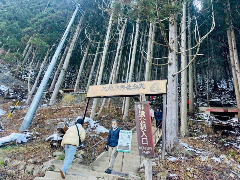 VIP Snow Monkey Park & Zenkoji Temple One Day Private Tour - Why This Tour Offers Great Value