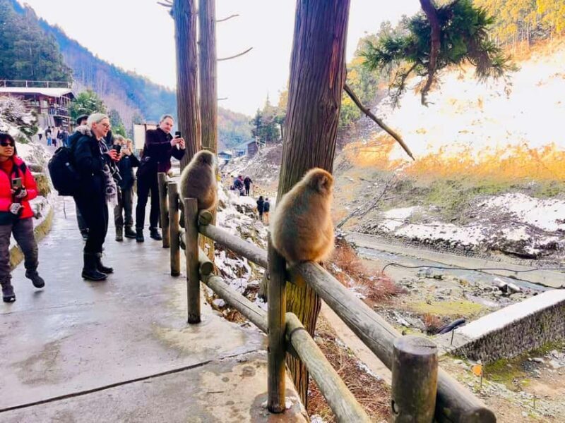 VIP Snow Monkey Park & Zenkoji Temple One Day Private Tour - Authentic Experiences That Stick