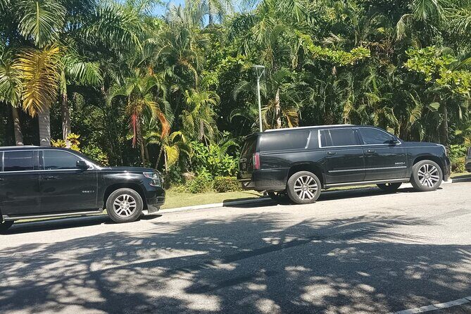 VIP Suburban Transfer from Punta Cana Airport to Bavaro Hotels - The Bottom Line: Who Should Consider This Transfer?