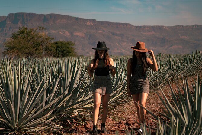 Vip Tequila Experience - Who Is This Tour Best For?