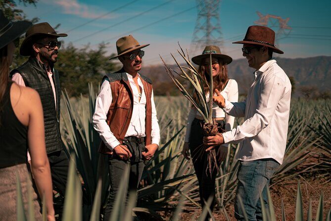 Vip Tequila Experience - The Sum Up