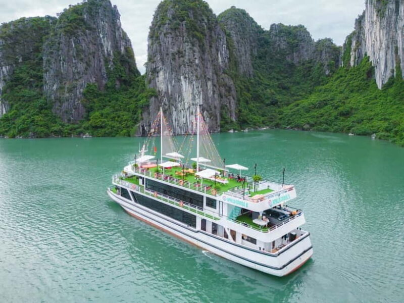 VIP TOUR - Seaplane 25-minutes + Halong Bay Cruise 1 Day - An In-Depth Look at the Tour Experience