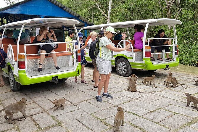 VIP Tour to Can Gio Mangrove Forest by Speed Boat - Transportation & Logistics