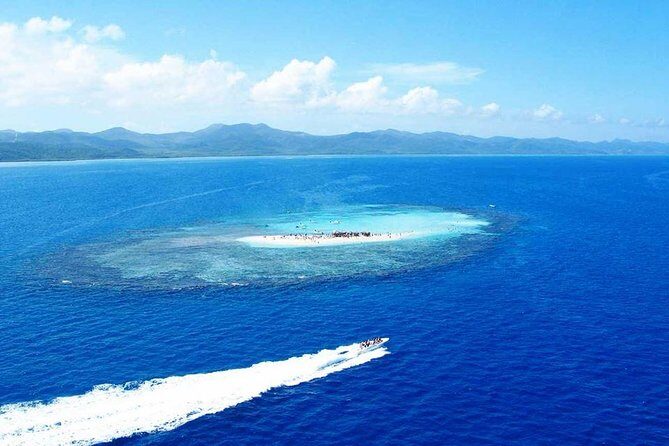 VIP tour to Paradise Island & The Mangroves - What Travelers Say About This Tour