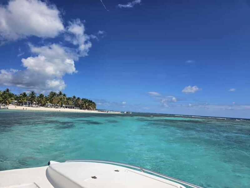 VIP tour to Saona Island by speedboat with a visit to paradise beaches - An In-Depth Look at the VIP Saona Island Experience
