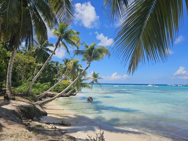 VIP tour to Saona Island by speedboat with a visit to paradise beaches - Practical Details and What to Expect