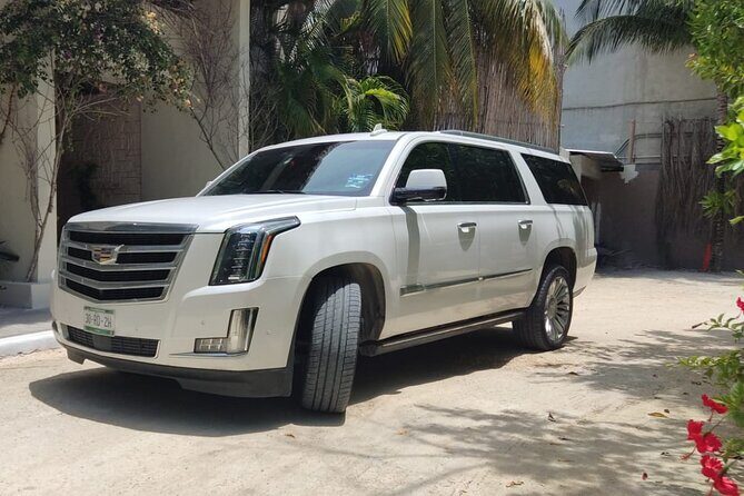 VIP Uvero Alto Private Transfer Suburban from Punta Cana - Key Points