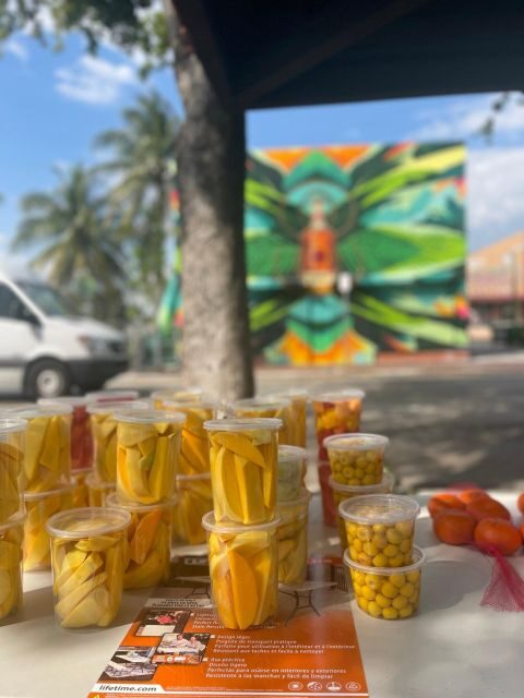 VIP Walking Tour of Little Havana - Overview of the Experience