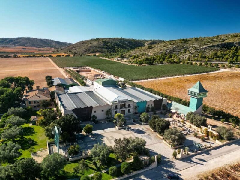 VIP Wine Experience | Costa Blancas Hidden Estates - The Sum Up