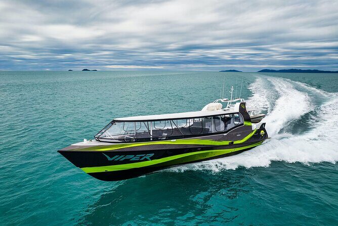 Viper: Great Barrier Reef Snorkel Including Whitehaven Hill Inlet - What Travelers Love About the Viper Tour