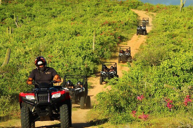 Viper Trail UTV Small-Group Experience in Cabo San Lucas - Authentic and Enthusiastic Feedback from Travelers