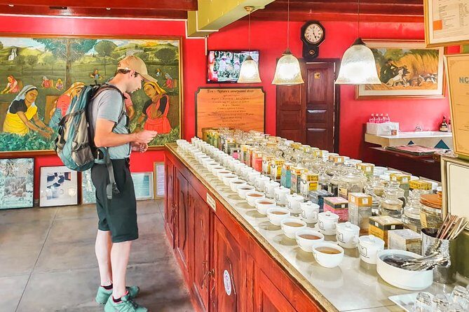 Virgin White Tea Factory and Galle Fort from Colombo - Summing It Up