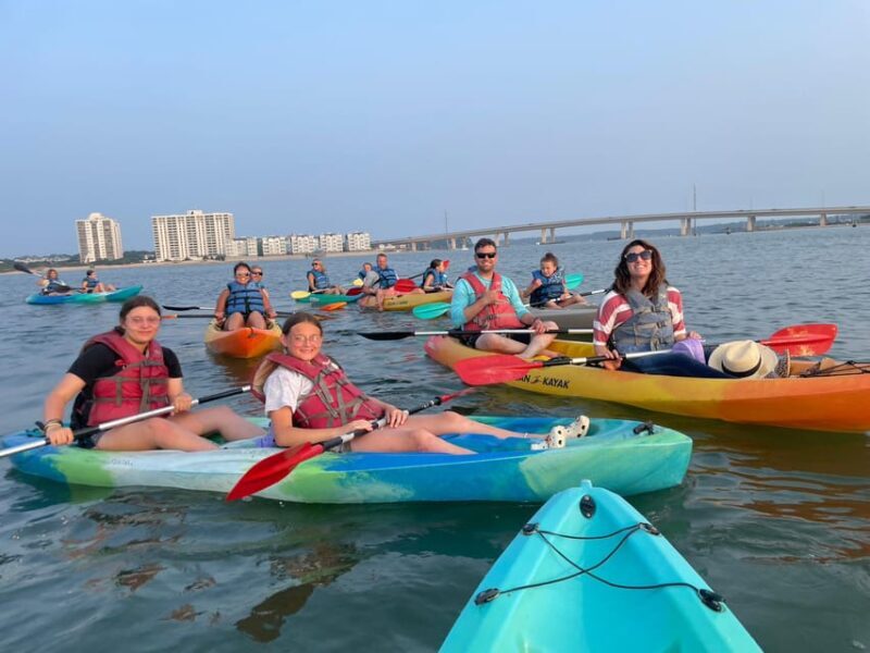 Virginia Beach: Dolphin Kayak Tour: This is a Workout! - A Well-Rounded Look at the Virginia Beach Dolphin Kayak Tour