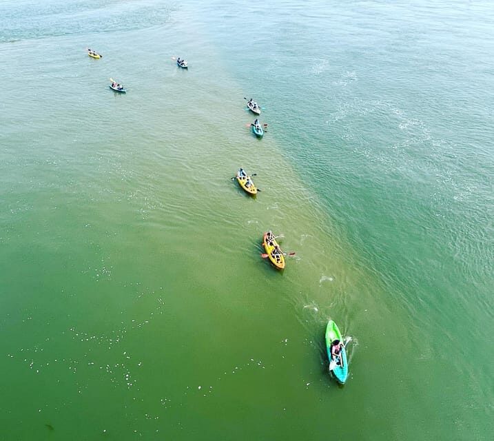 Virginia Beach: Dolphin Kayak Tour: This is a Workout! - The Sum Up