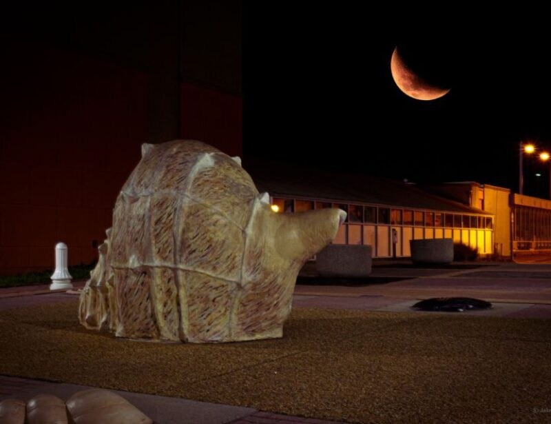 Virginia Beach: Neptune Ghosts Haunted Walking Tour - Pricing and Value