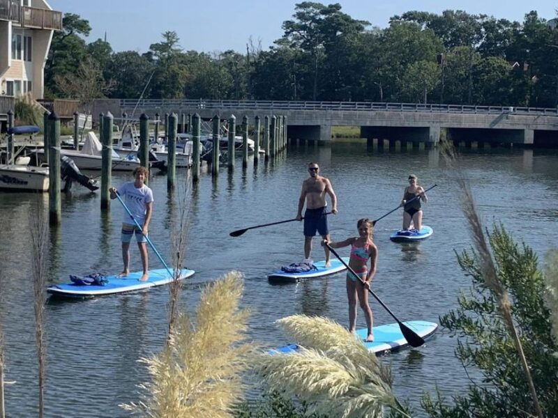 Virginia Beach: Sunset Stand-Up Paddleboarding Tour - Who Should Consider This Tour?