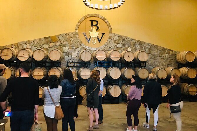 Virginia Wineries Guided Tour & Tastings from Washington DC - What’s Included and How It Works