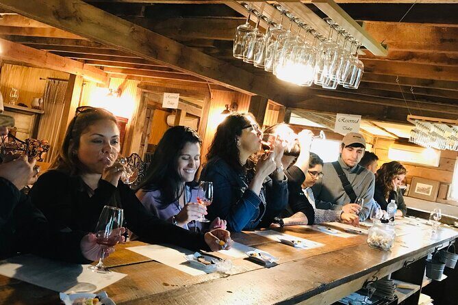 Virginia Wineries Guided Tour & Tastings from Washington DC - Authentic Experiences and What Travelers Say