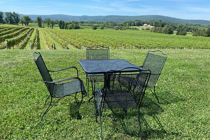 Virginia Wineries Tour - What Our Reviewers Have Said